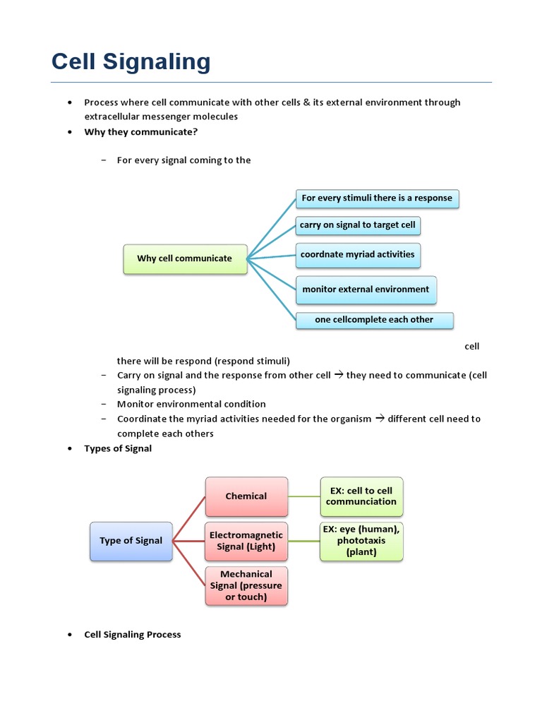 Cell Signalling | PDF | Cell Signaling | Signal Transduction