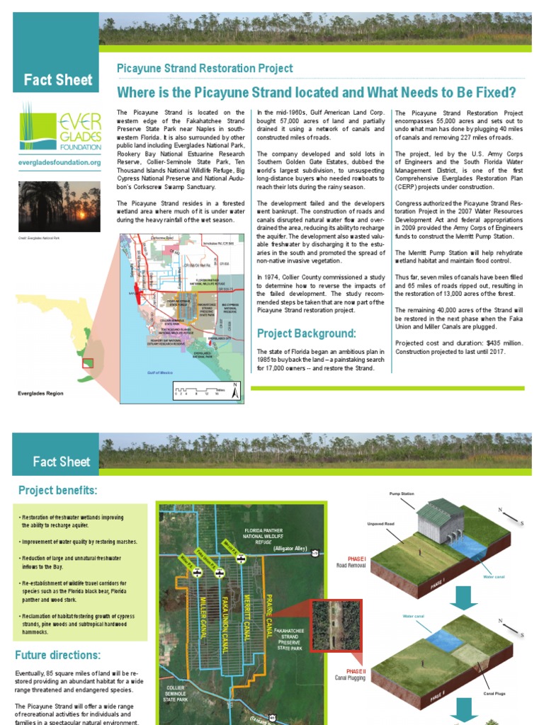 01 09ever Picayune Final | PDF | Everglades | Hydrology