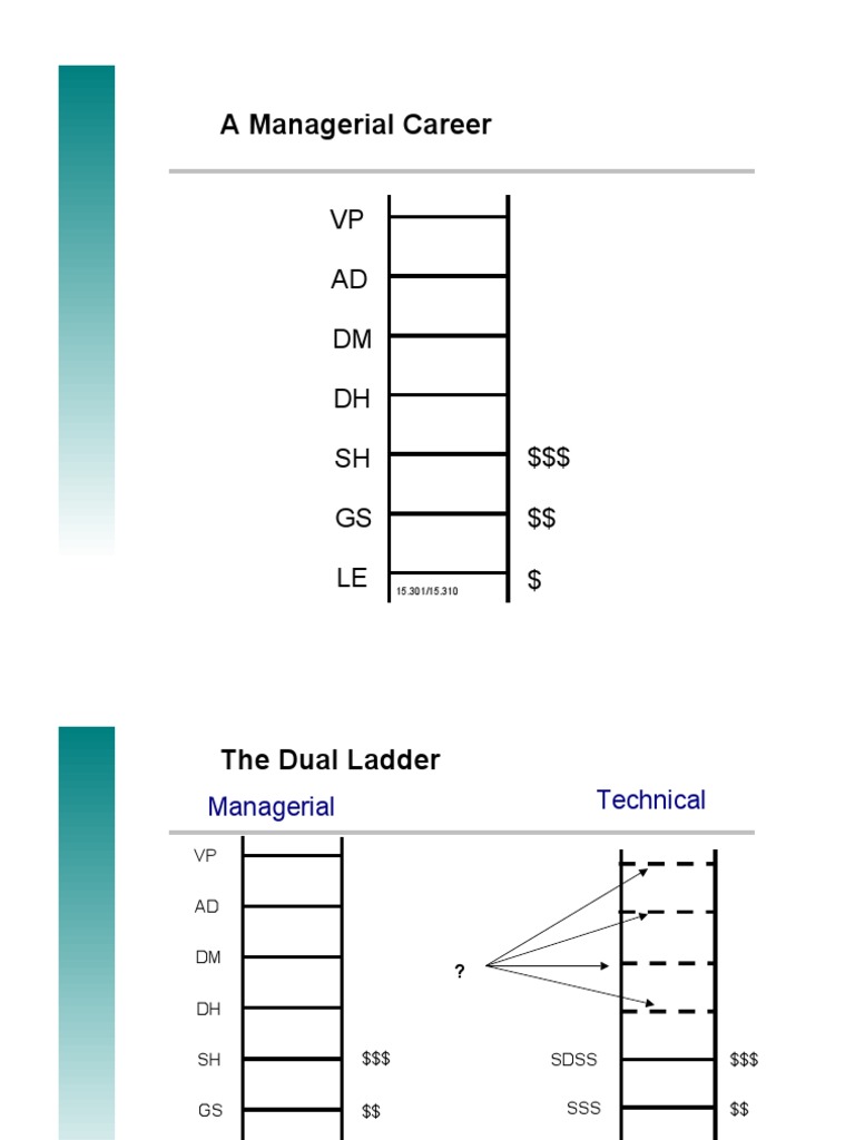 Reward Systems | PDF | Technology & Engineering