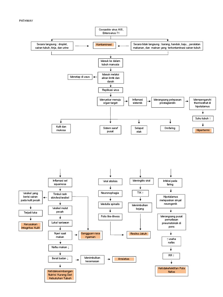 Pathway Flu SG | PDF
