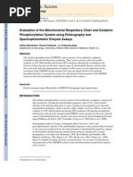 Fish Nares: Smell Mechanism Explained | PDF | Olfaction | Fish