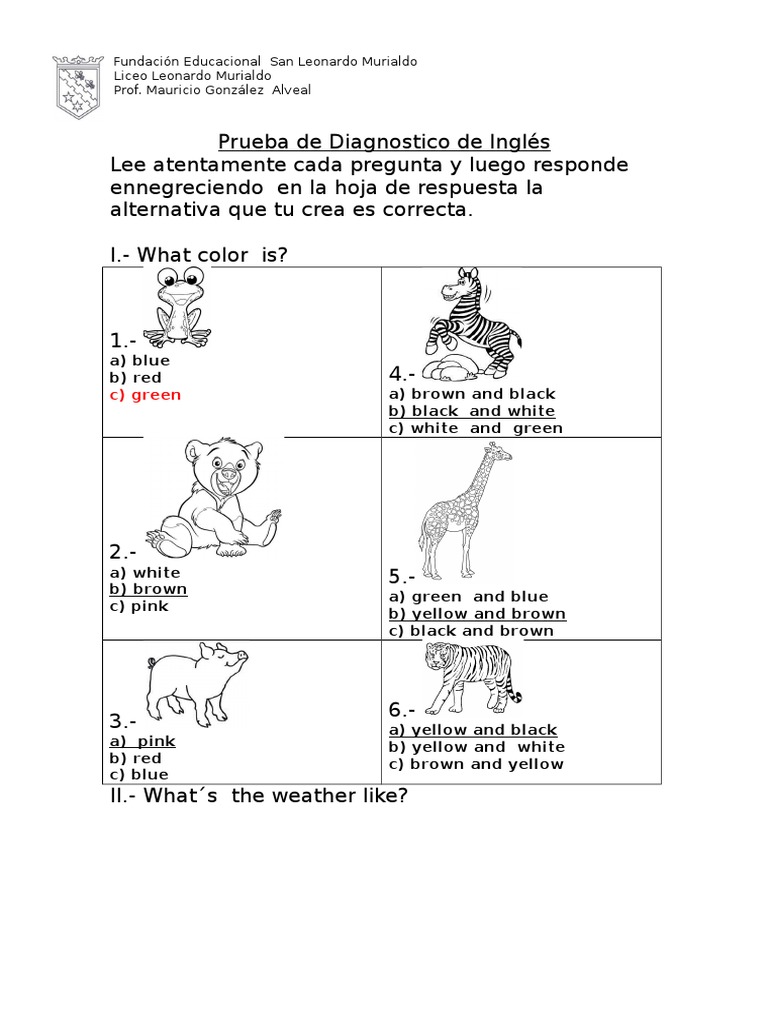 English Diagnostic Test for Students | PDF