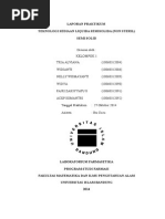 Makalah Semi Solid | PDF