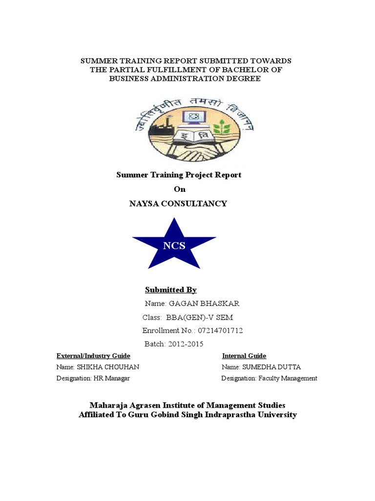 Naysa Consultancy | PDF | Performance Appraisal | Recruitment