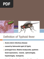 Pathophysiology of Typhoid Fever | PDF | Salmonella | Bacteria