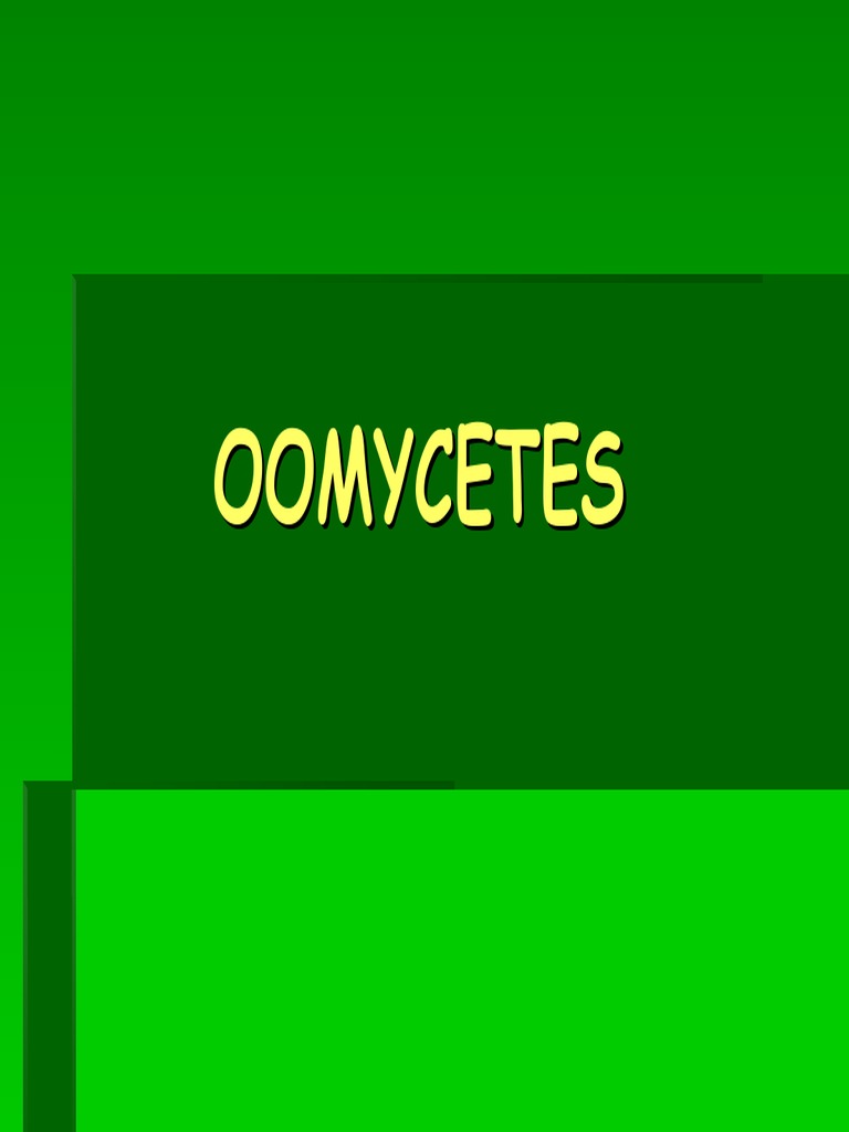 Introducción a los Oomicetos | PDF | Ramas de la botánica | Biología