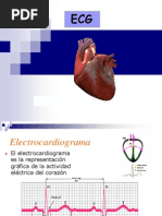 16 - Ritmo Sinusal Normal | PDF | Cardiología | Corazón