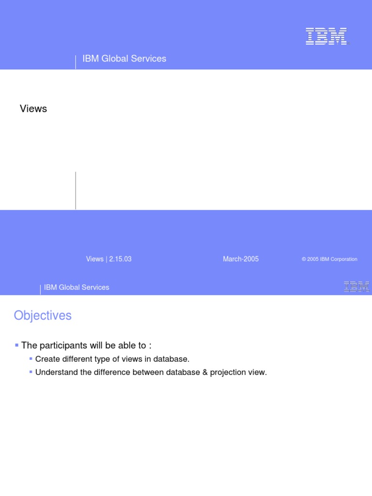 IBM Global Services: Views | PDF