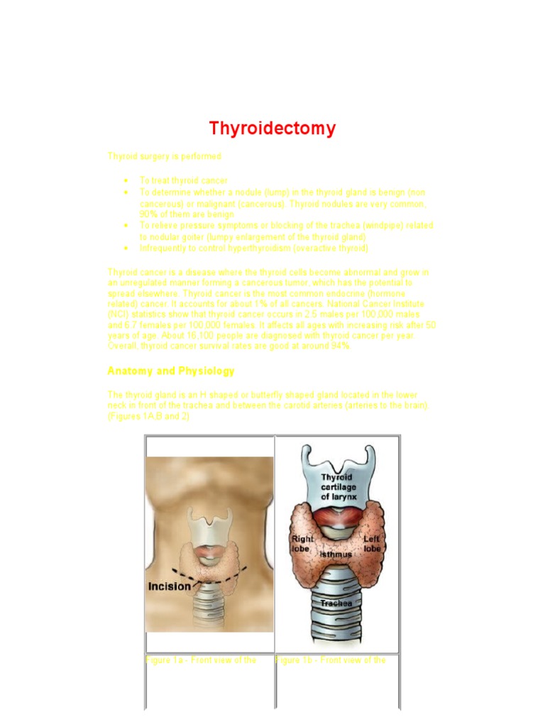 Thyroidectomy: Anatomy and Physiology | PDF