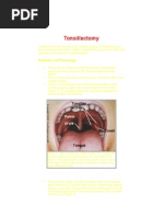Normal Tonsil Size and Grading Guide | PDF | Infection | Immunology