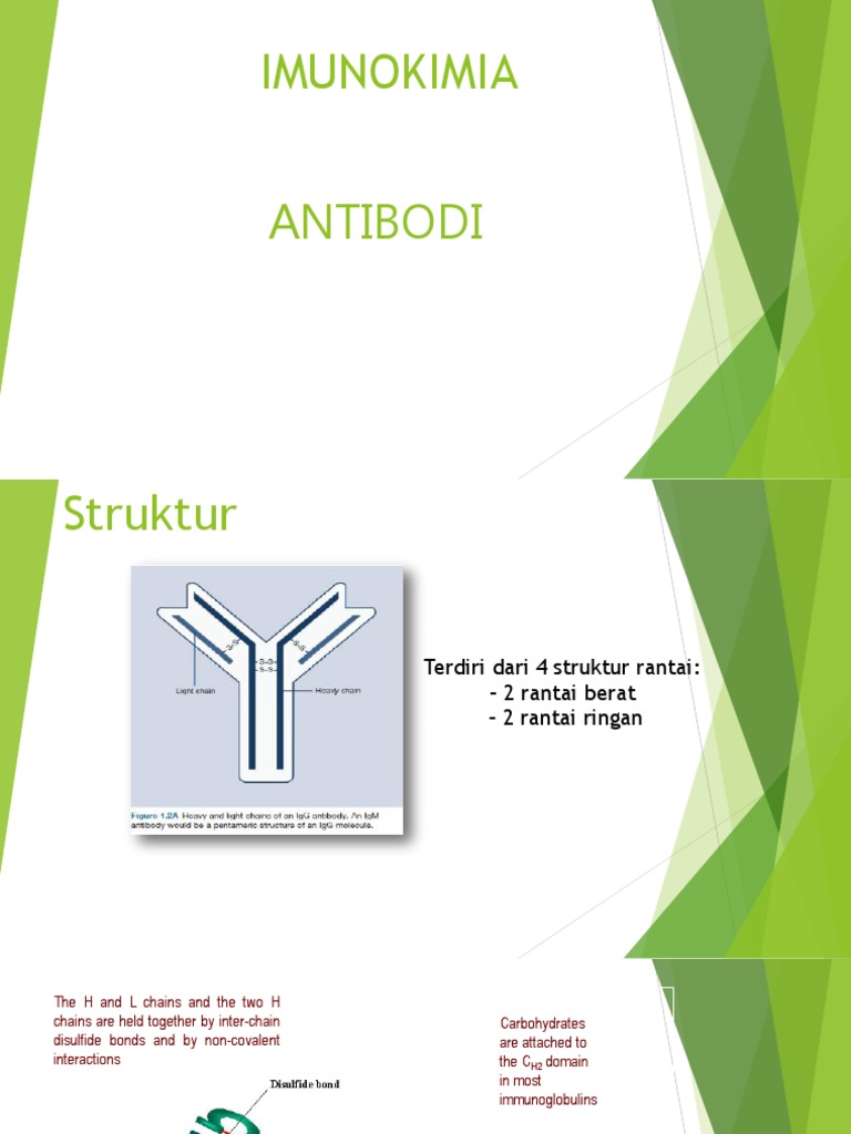 IMUNOKIMIA | PDF | Sains & Matematika