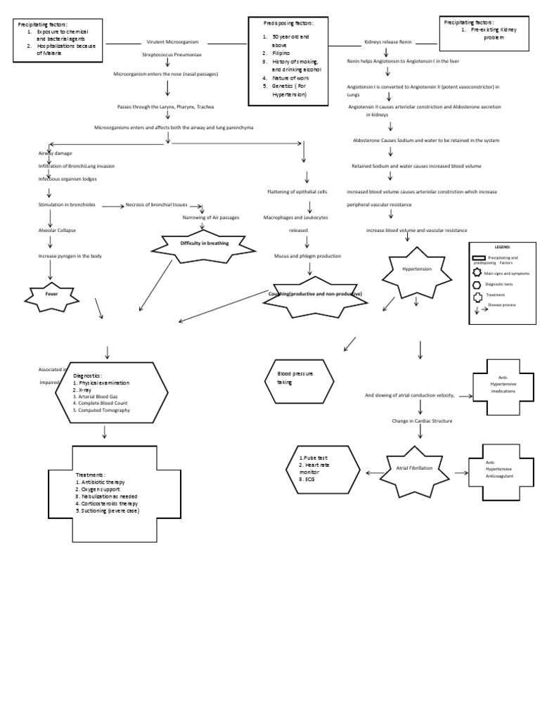 Pathophysiology CAP and HTN | PDF | Hypertension | Pneumonia