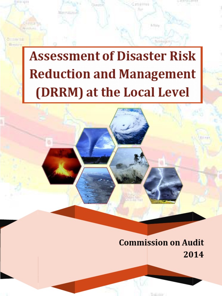 Local Disaster Risk Management Assessment | PDF | Emergency Management ...