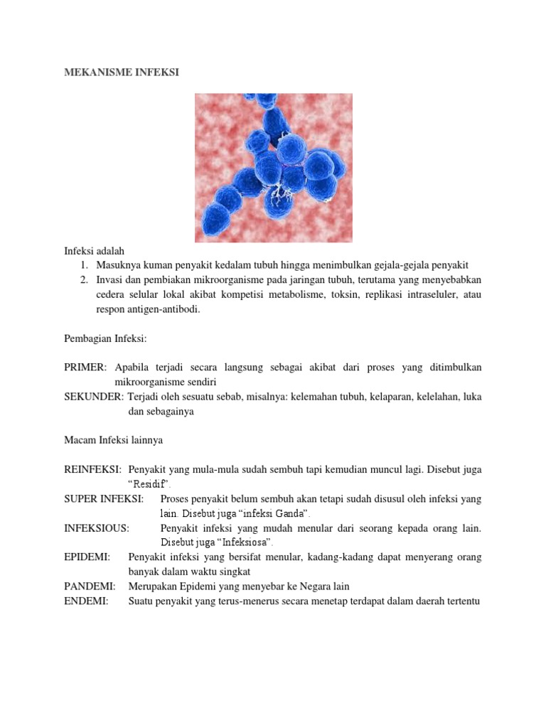 Mekanisme Infeksi dan Tahapannya | PDF | Pengembangan Diri | Kesehatan ...