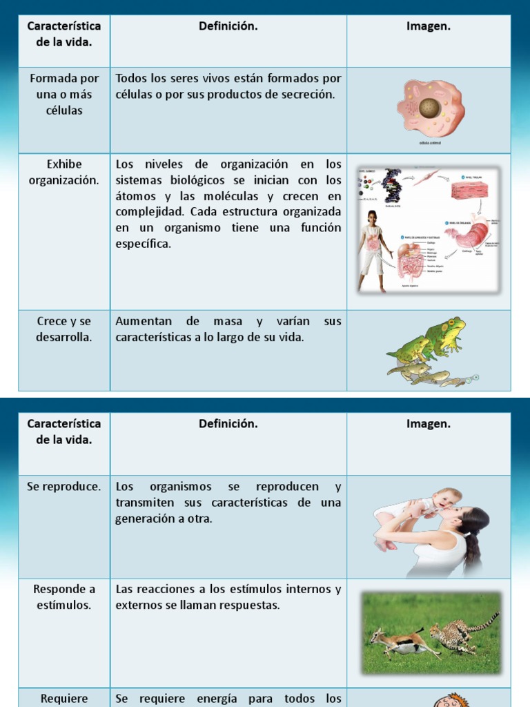 Características de La Vida. ¿Cómo Se Define La Vida? | PDF