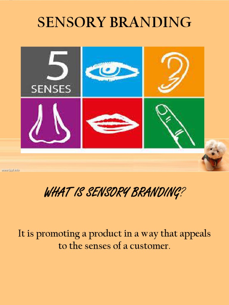 Sensory Branding | PDF | Brand | Odor