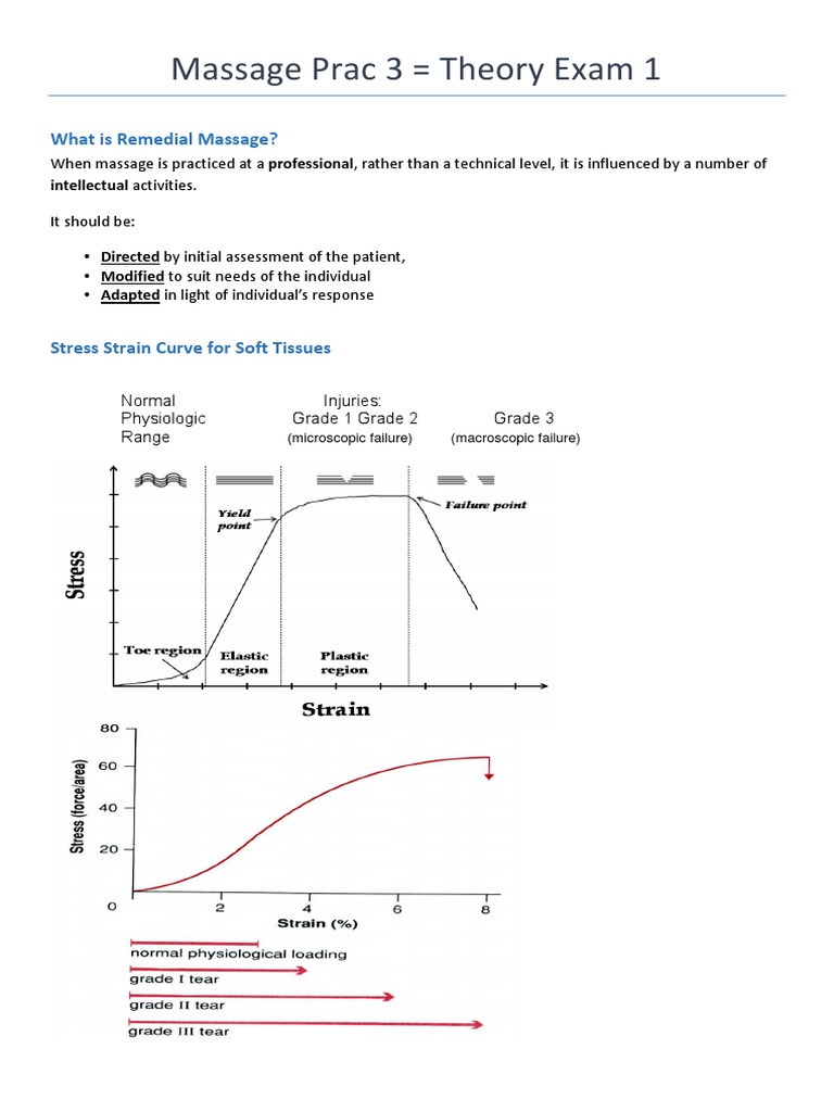 Remedial Massage Theory Exam Guide | PDF | Tendon | Pain