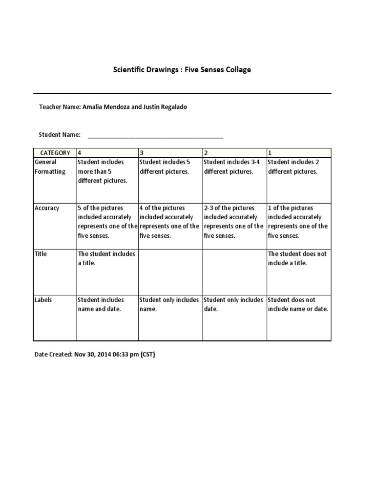 Five Senses Collage Grading Rubric | PDF