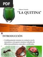 La Quitina Características y Funciones | PDF