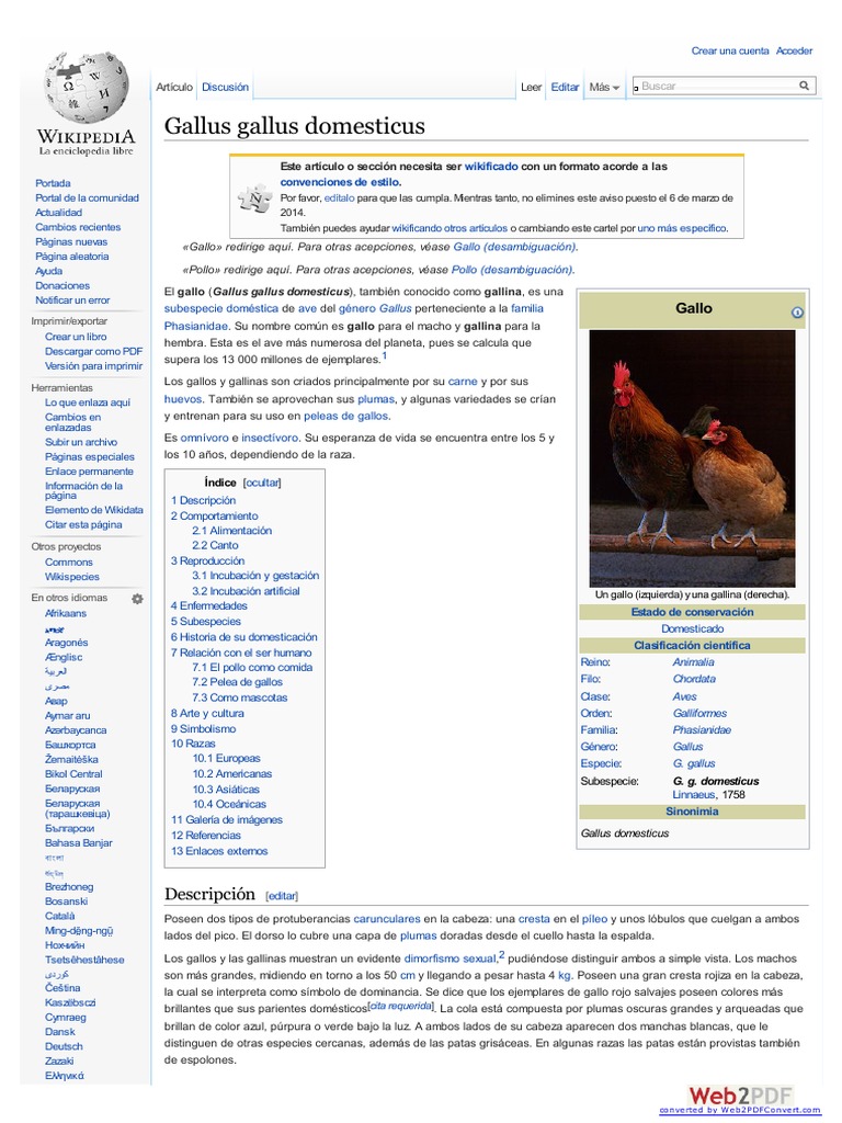 Gallina | PDF | Pollo | Animales y humanos