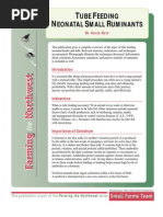 Intraperitoneal Ip Injection in Rats and Mice Sop | PDF | Injection ...