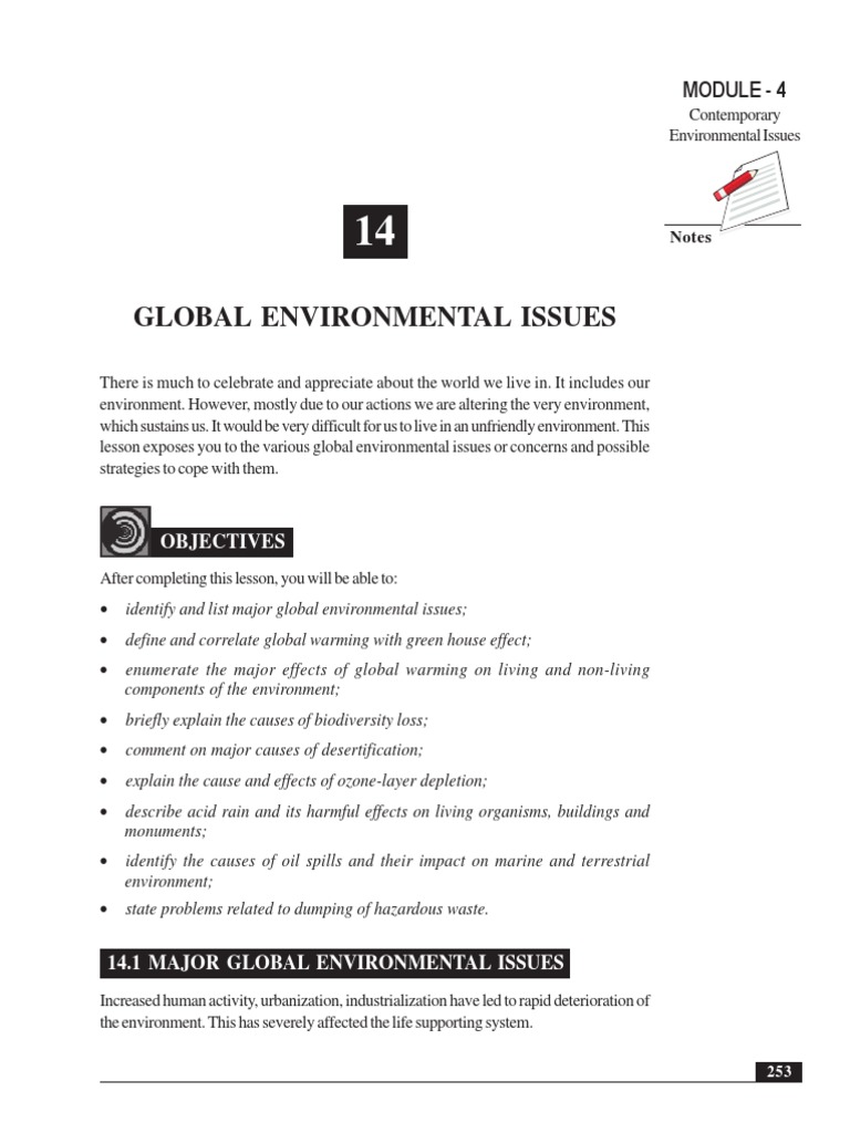 14 - Global Environmental Issues | PDF | Ozone Depletion | Greenhouse ...