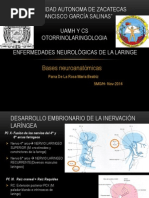 Inervación de La Laringe | PDF