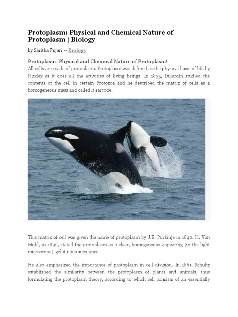 Physical and Chemical Nature of The Protoplasm | PDF | Properties Of ...