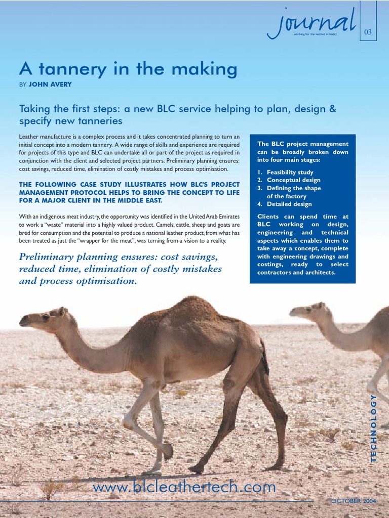 Al Khaznah Tannery Project Overview | PDF | Feasibility Study | Leather