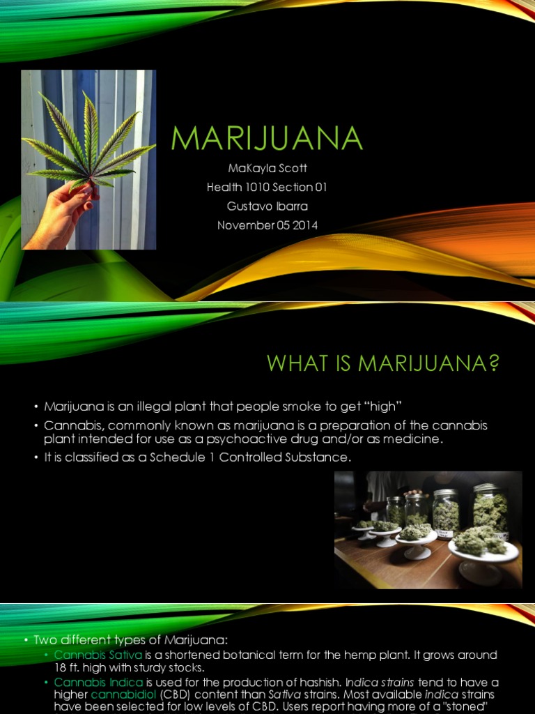 Marijuana Powerpoint | PDF | Cannabis | Tetrahydrocannabinol
