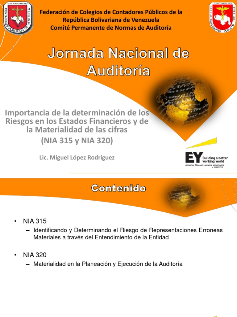 Nia 315 y 320 | Auditoría financiera | Información