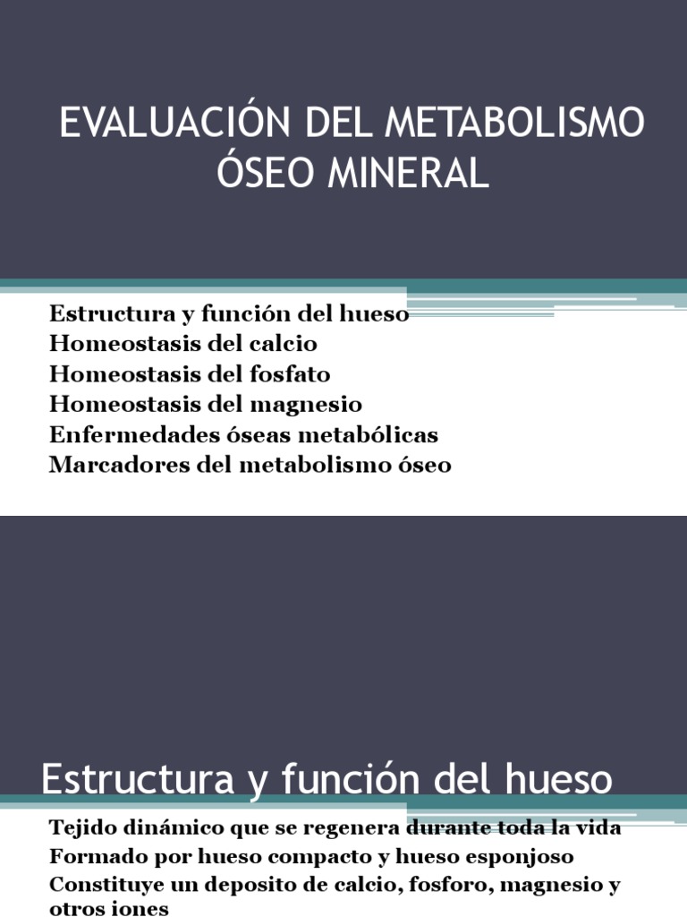 Metabolismo Oseo | PDF | Hueso | Calcio