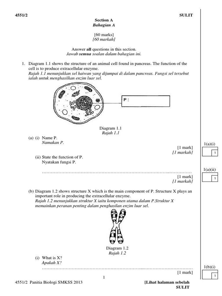 2013 Final Bio Form 4 p2 | PDF