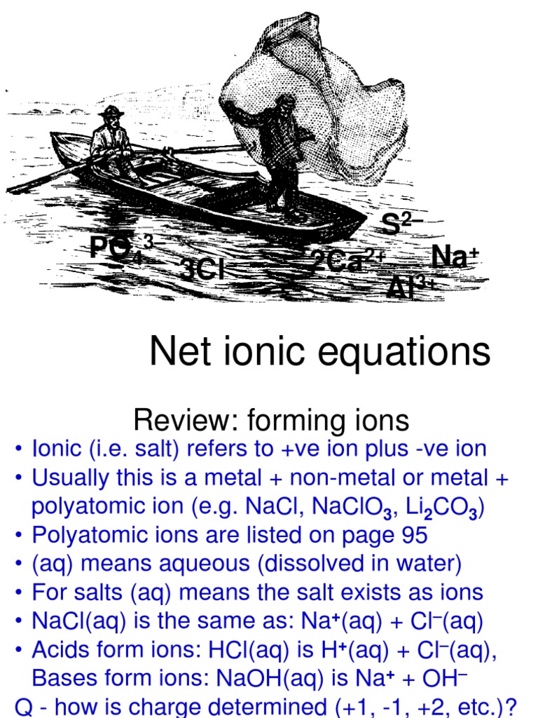 Net Ionic Equations | PDF | Ion | Ionic Bonding