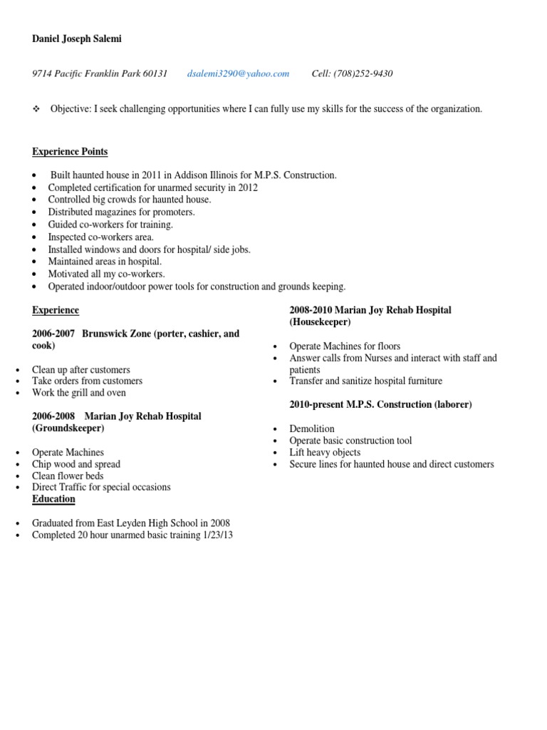 Daniel Salemi: Skills & Experience Overview | PDF