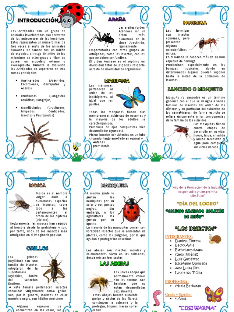 TRIPTICO INSECTOS | Insectos | Volar