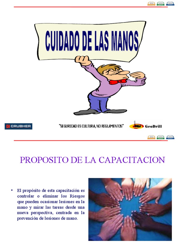 Sso - Manos Seguras | PDF | Naturaleza