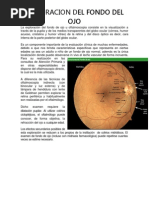 Fondo de Ojo Normal | PDF | Ojo humano | Oftalmología