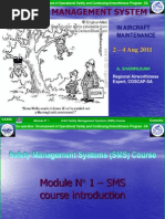 SMS Manual Template | PDF | Safety | Risk Management