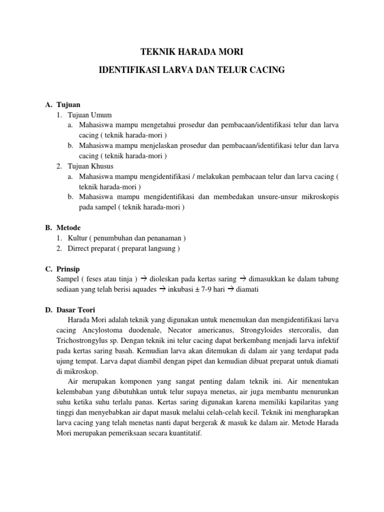 Teknik Harada Mori | PDF