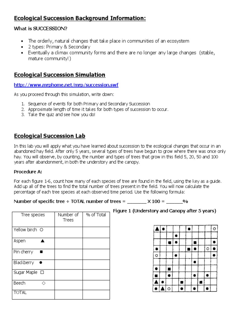 Ecological Succession Lab Overview | PDF | Trees | Beech