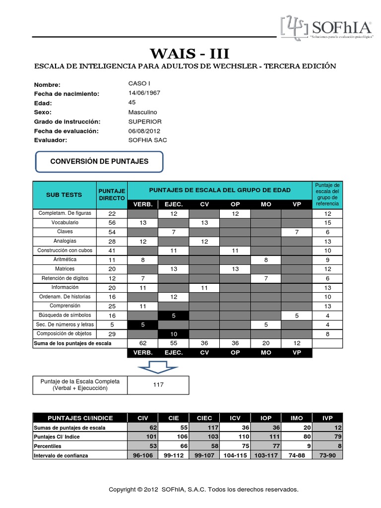 Reporte Wais-III Completo | Wechsler Adult Intelligence Scale | Applied ...