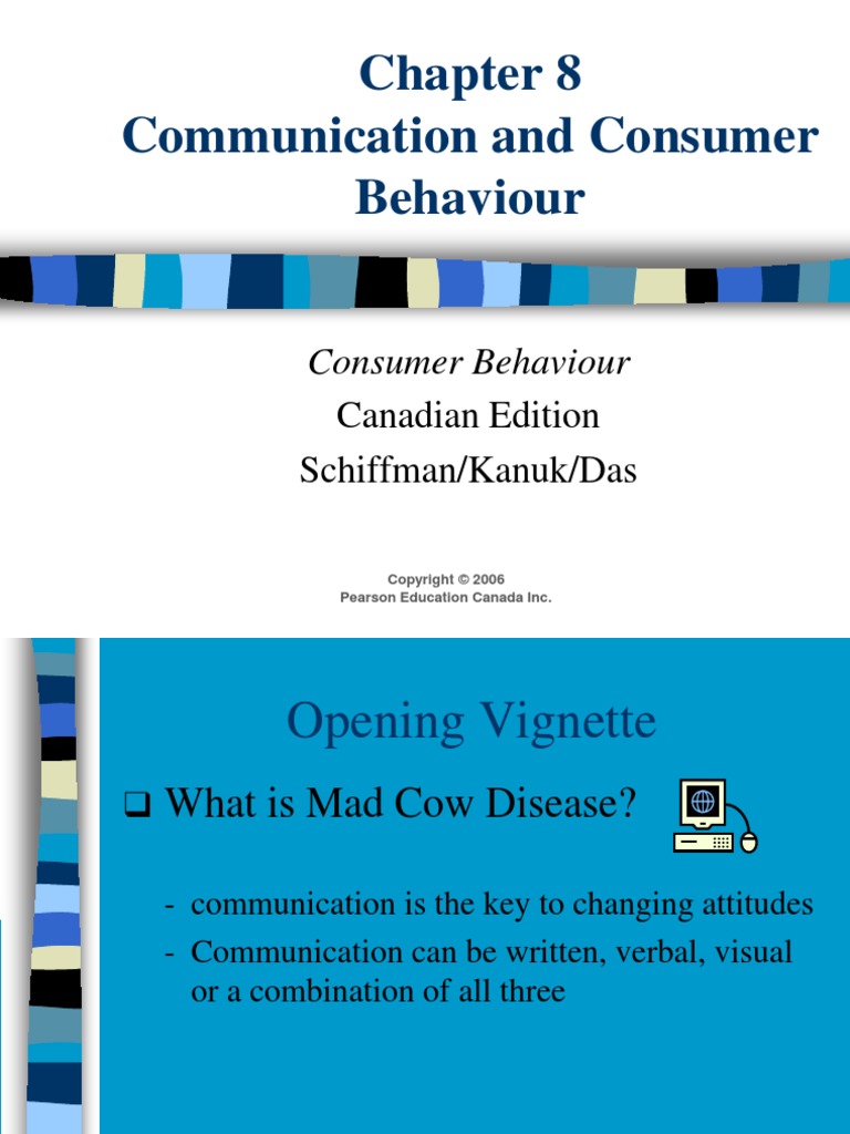 Consumer Behavior Chapter 8 | PDF | Direct Marketing | Target Audience