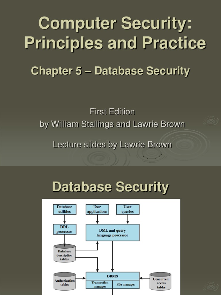 Database Security | PDF | Relational Database | Sql