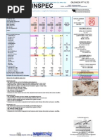 RCCA Form and Example - v1.1 | PDF