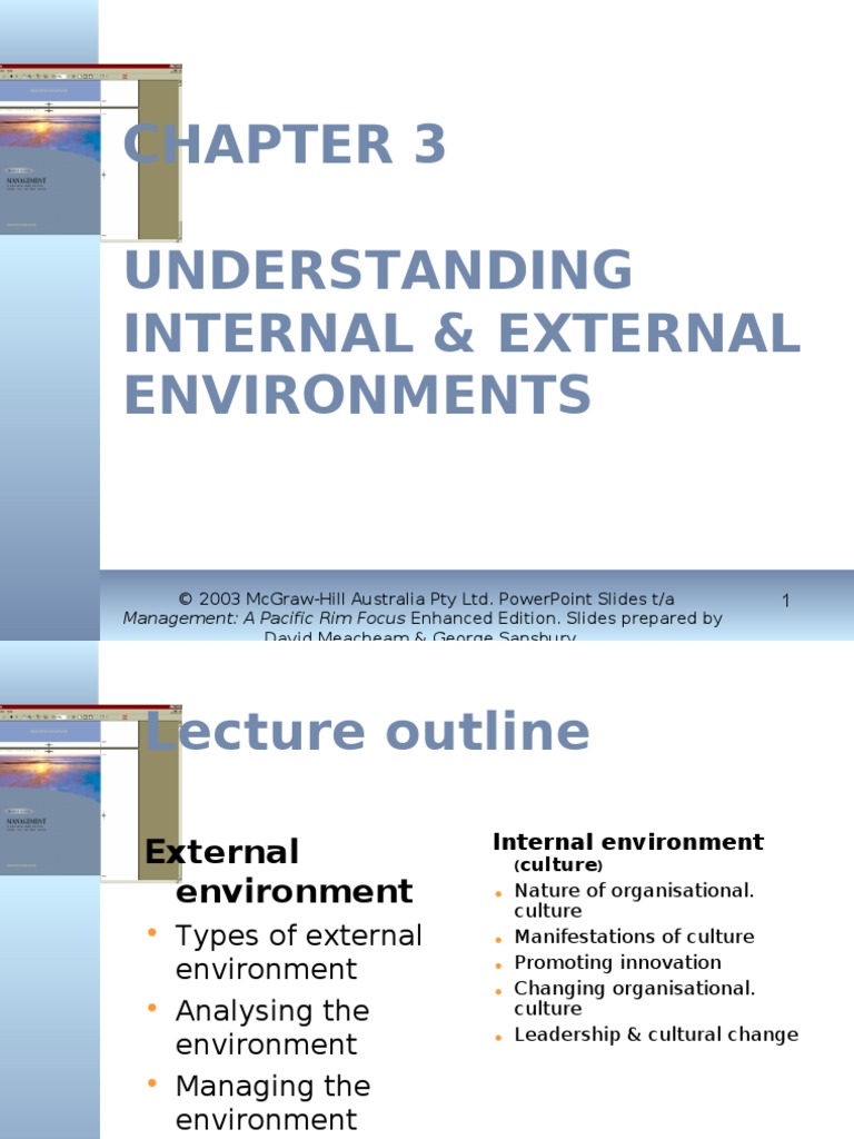 Chapter 3 Understanding Internal & External Environments | PDF | Organizational Culture | Leadership