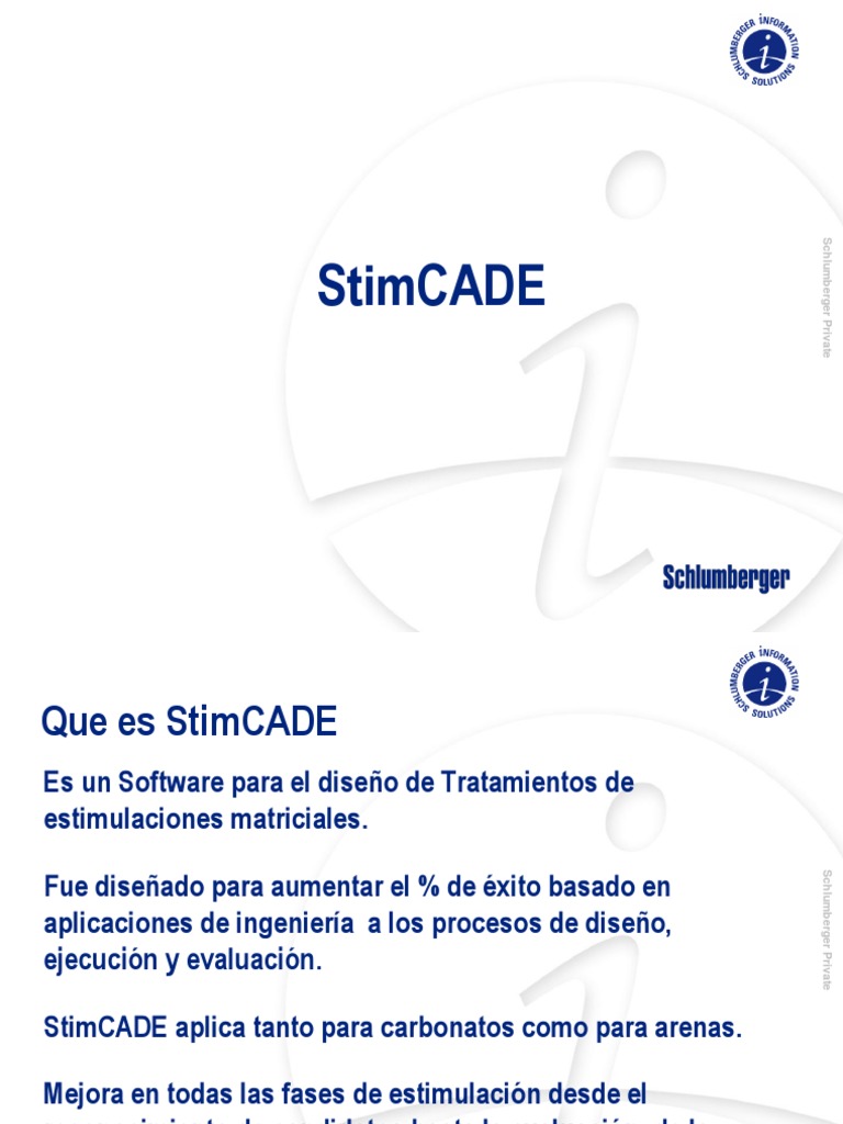 1 - StimCADE Gral | PDF | Software | Energía y recursos