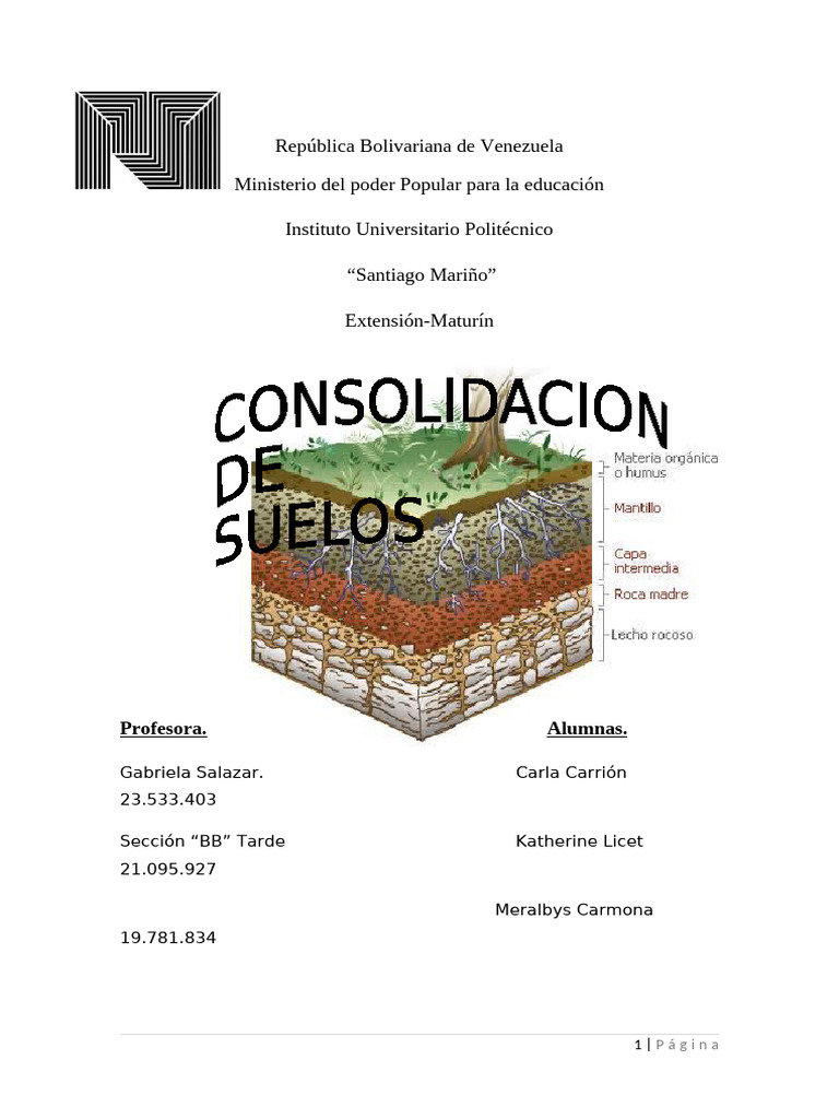 Consolidación de Suelos | PDF | Suelo | Materiales