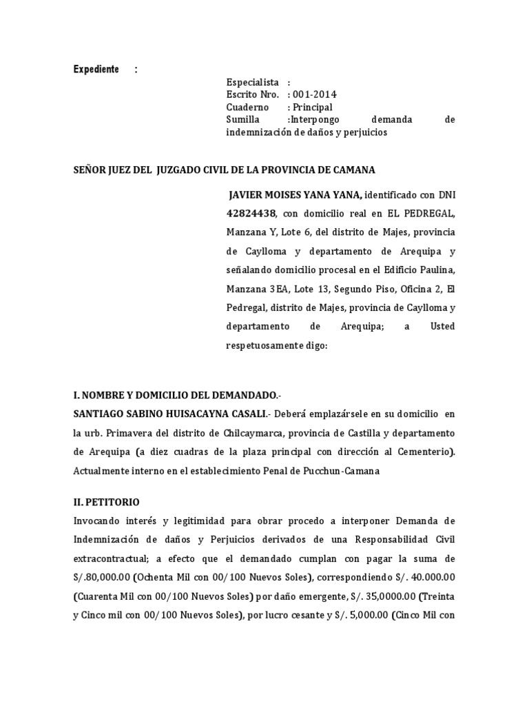 demanda de daños y perjuicios | Causa próxima | Demanda judicial