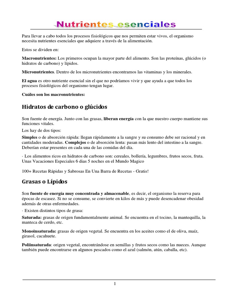 Nutrientes Esenciales | PDF | Nutrientes | Proteínas
